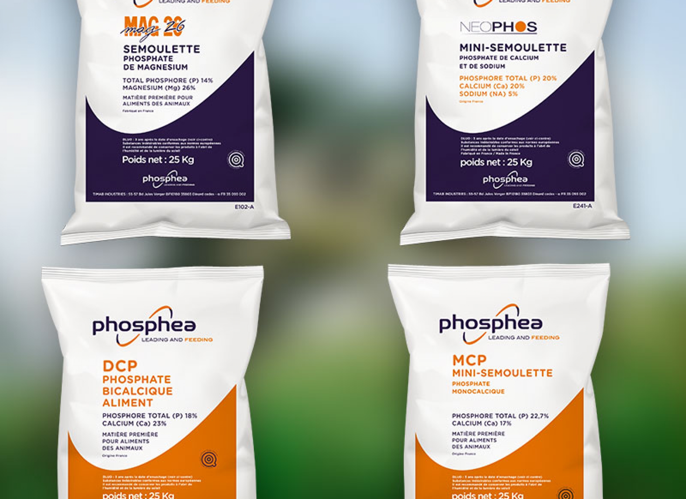 Phosphea - e.maginère